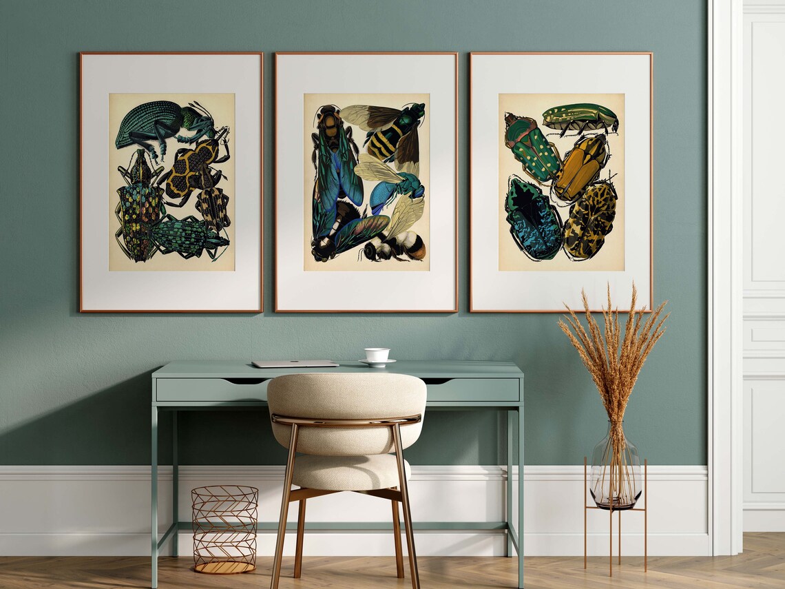 Bundle Insects and Butterfly Prints Wall Art Digital Art Nouveau Print ...