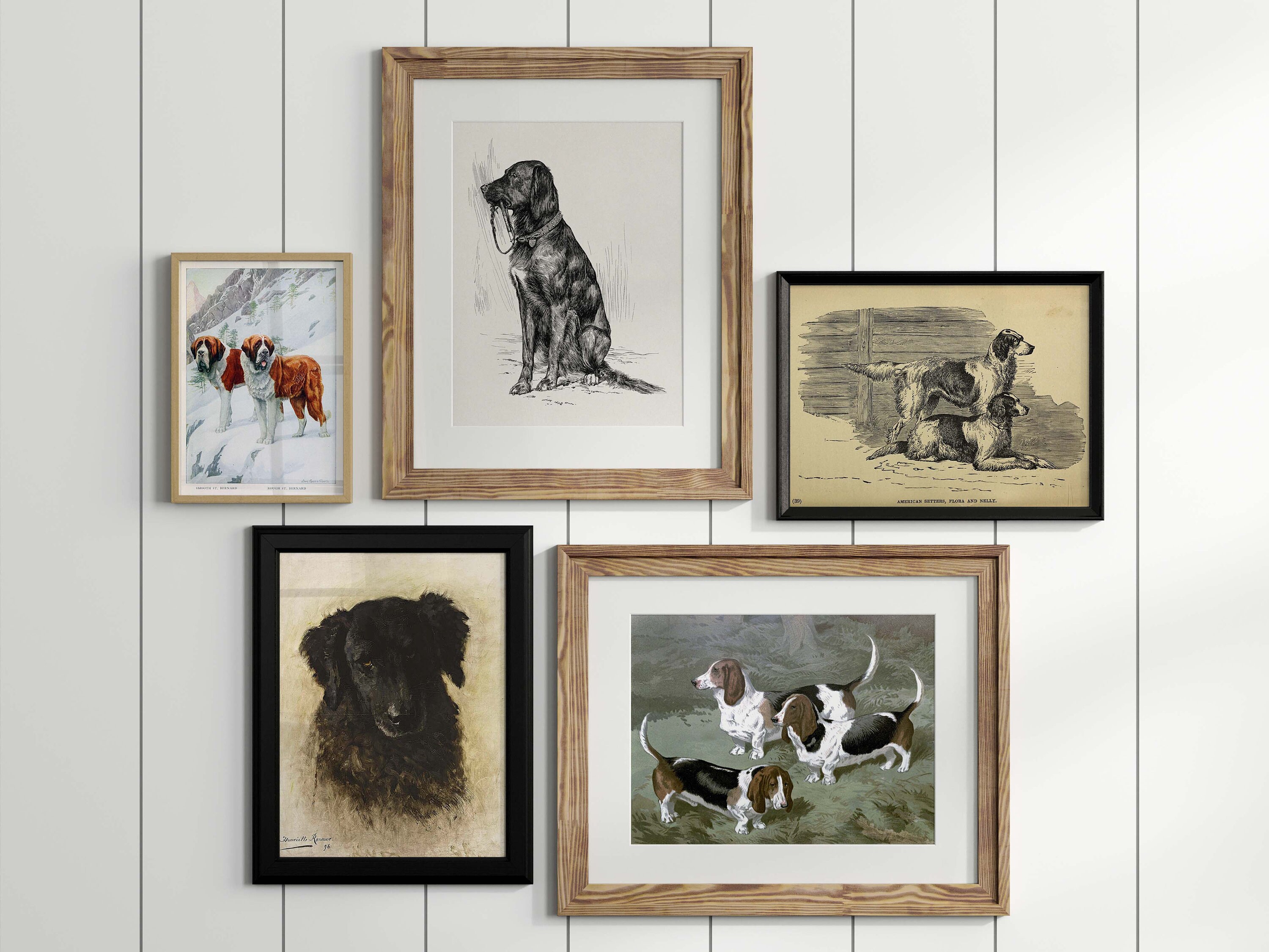 200 Plus Vintage Dog Prints Printable Wall Art Digital Download Gallery ...