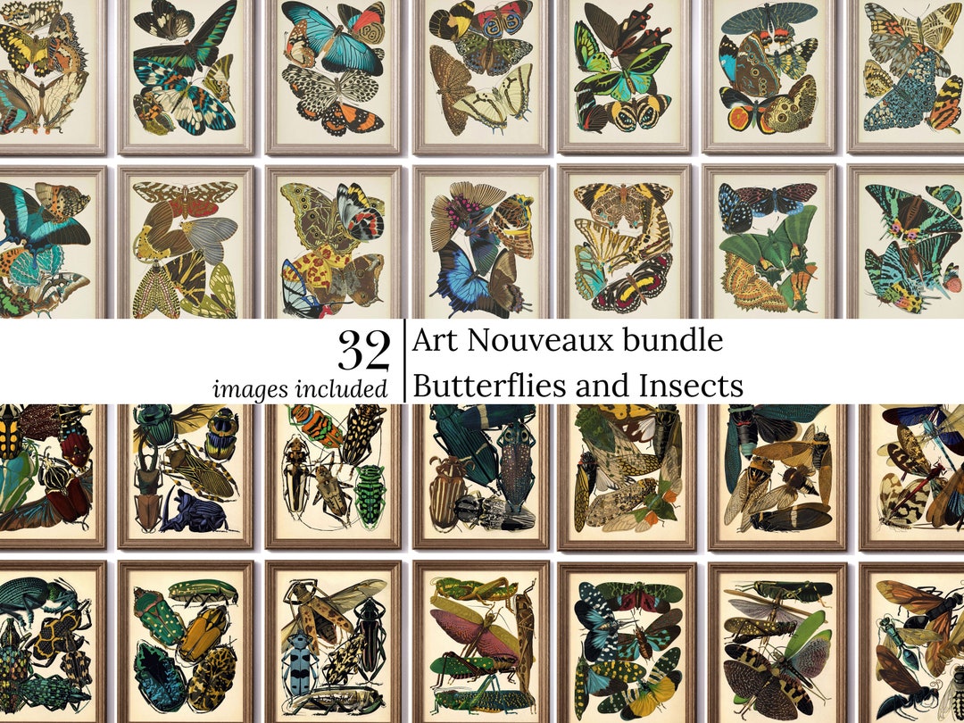 Bundle Insects and Butterfly Prints Wall Art Digital Art Nouveau Print ...