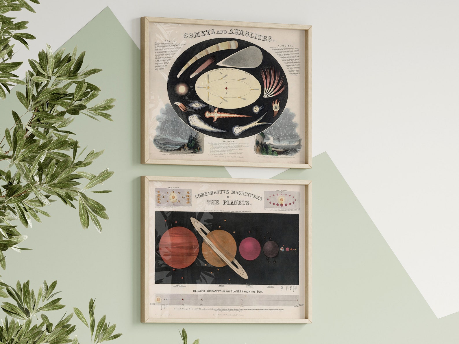 Digital Vintage Science Posters Printable Astronomy Decor for Teacher ...