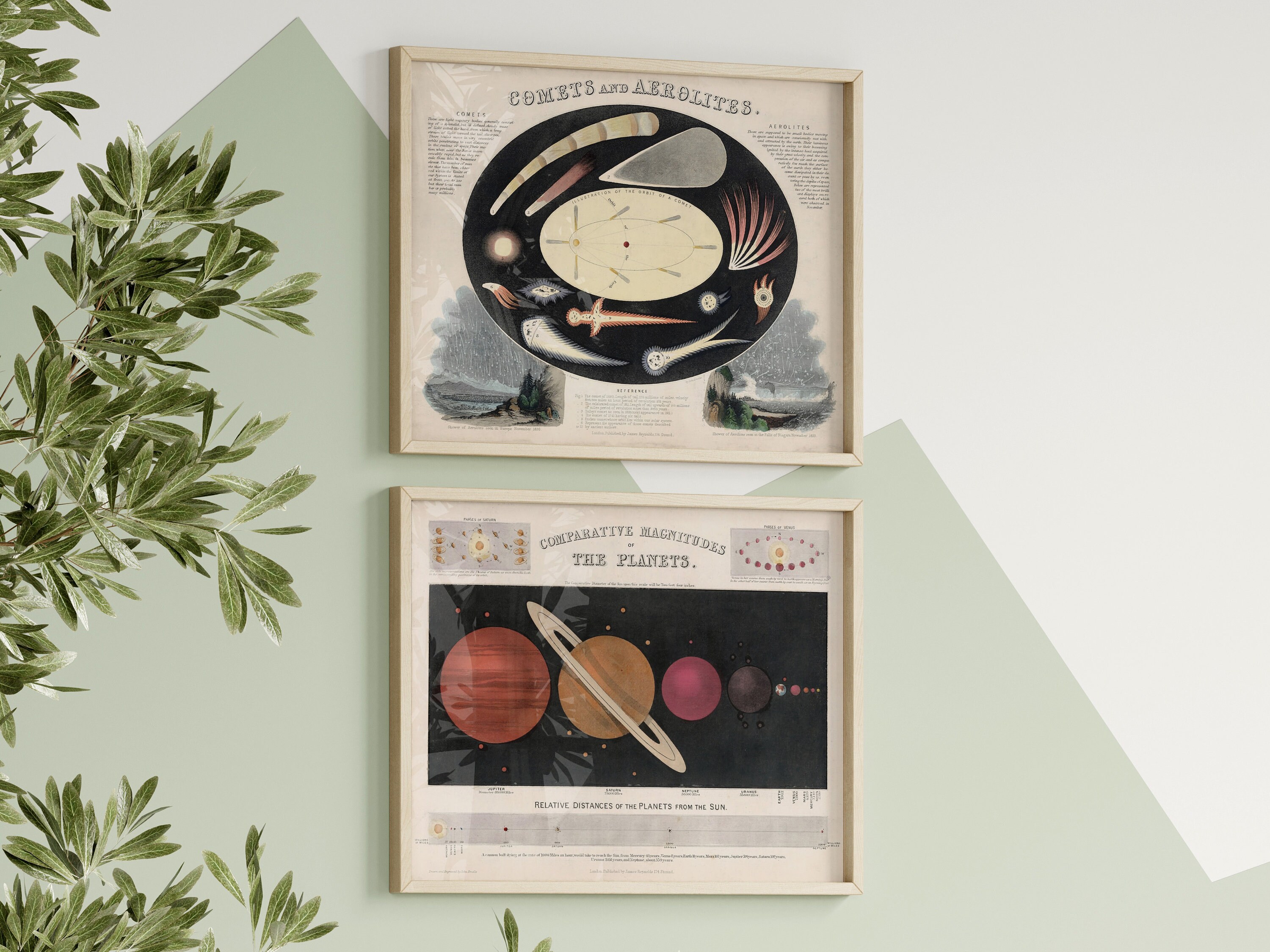 Digital Vintage Science Posters Printable Astronomy Decor for Teacher ...