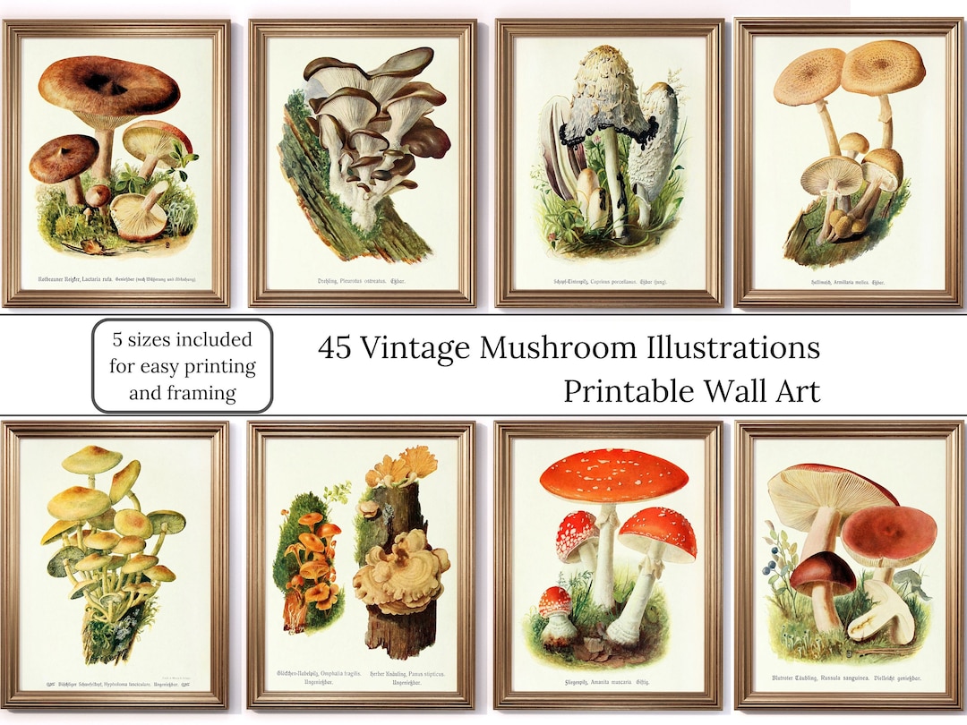 Vintage Mushroom Wall Art Printable Set Botanical Mushroom Prints ...