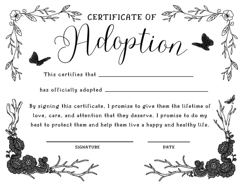 DIGITAL DOWNLOAD - Adoption Certificate! ~ Laz ~ - Etsy