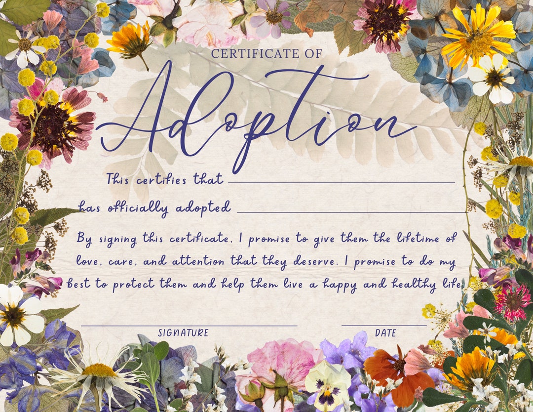 DIGITAL DOWNLOAD - Adoption Certificate! ~ Evie ~ - Etsy