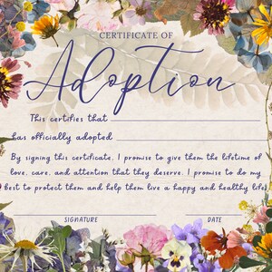 DIGITAL DOWNLOAD - Adoption Certificate! ~ Evie ~ - Etsy