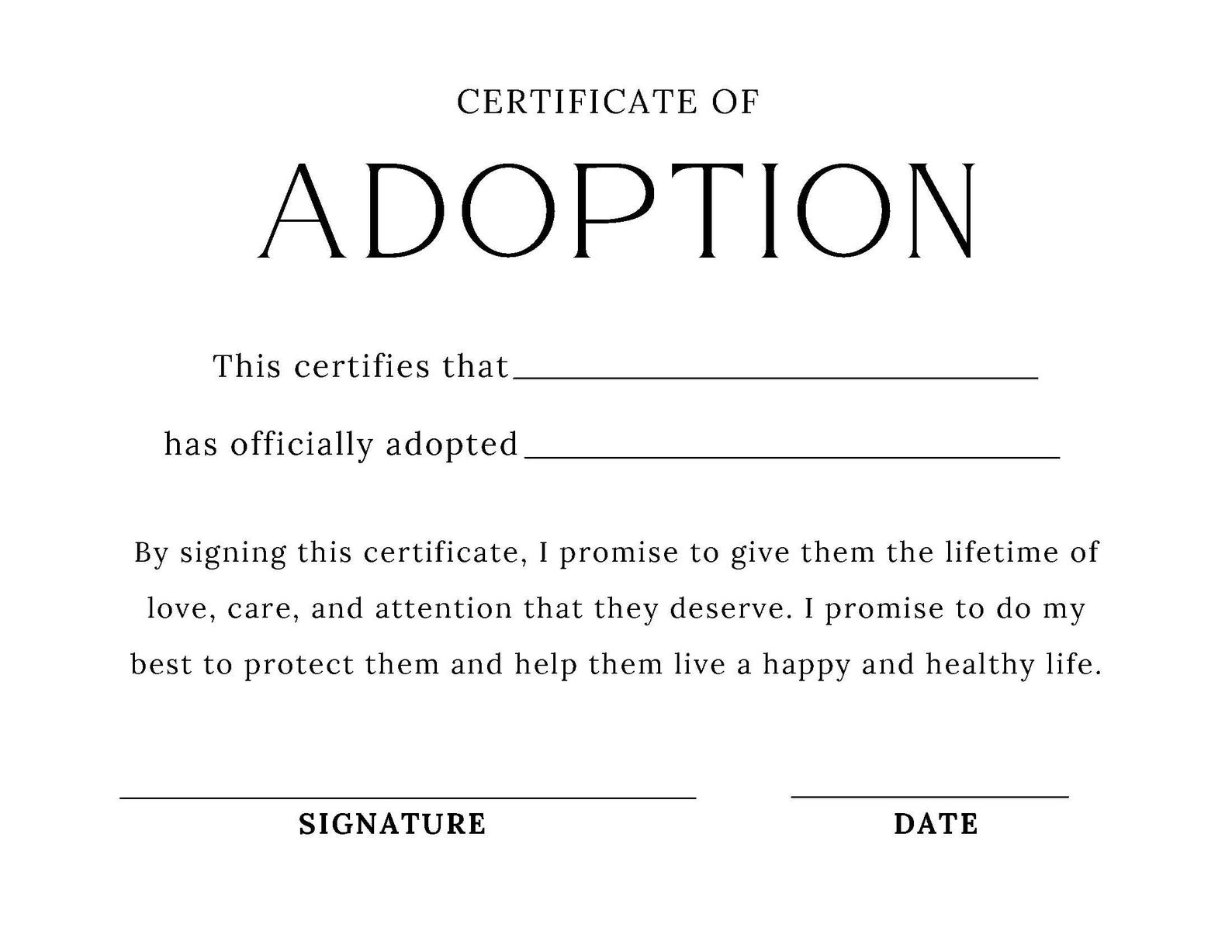 DIGITAL DOWNLOAD - Adoption Certificate! ~minimalist~ - Etsy