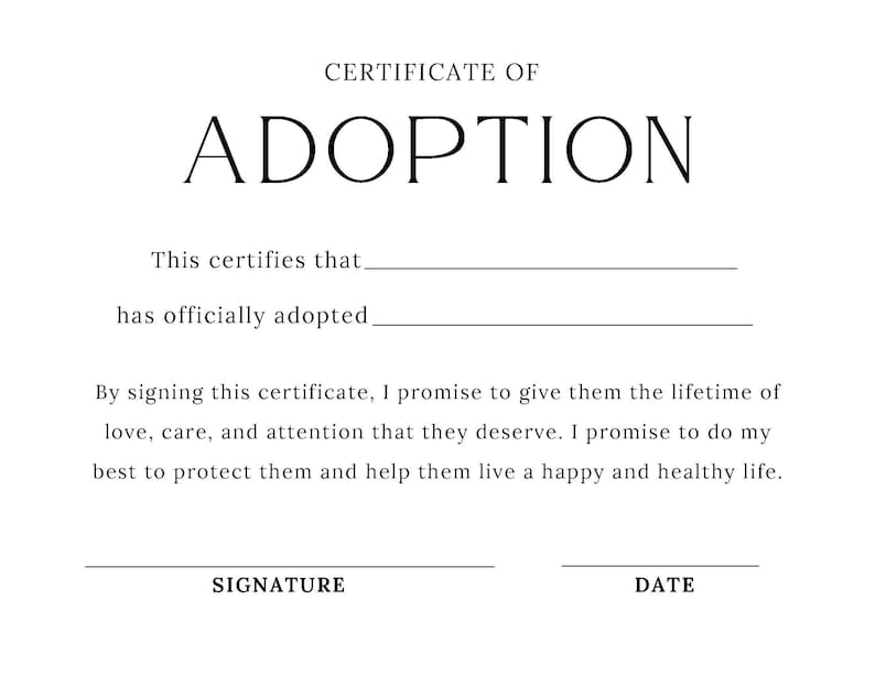 DIGITAL DOWNLOAD - Adoption Certificate! ~minimalist~ - Etsy
