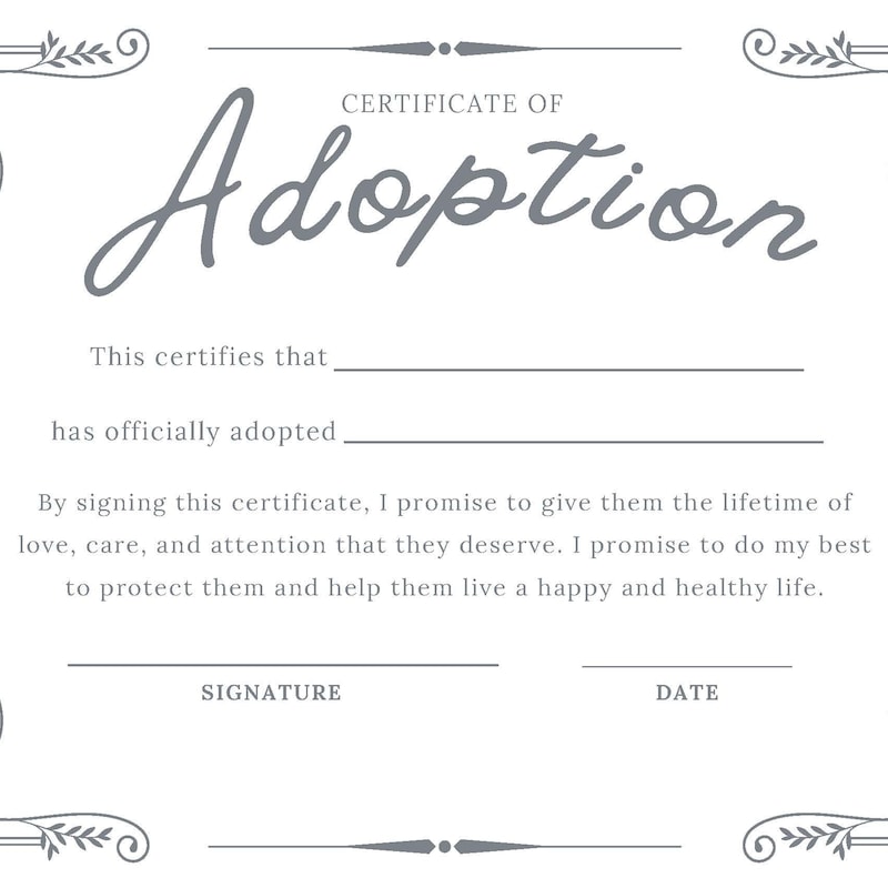 Fake Adoption Papers - Etsy