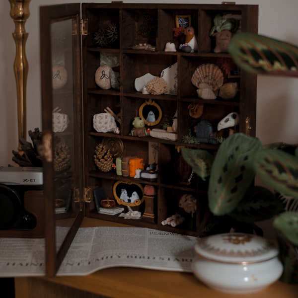 Curiosity Cabinet - Etsy