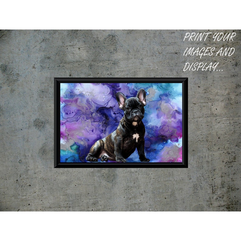 Abstract Art Pets Personalized Pet Art Pet Portrait Art Pet - Etsy