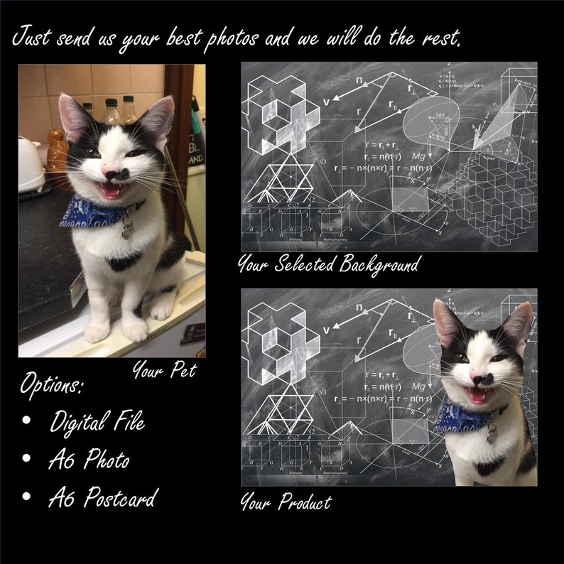 Abstract Art Pets Personalized Pet Art Pet Portrait Art Pet - Etsy