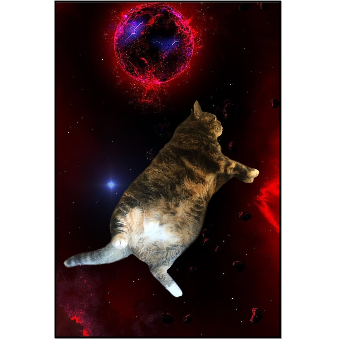 Pets in Space, Custom Pet Portrait, Personalised Cat Photo, Cat in ...