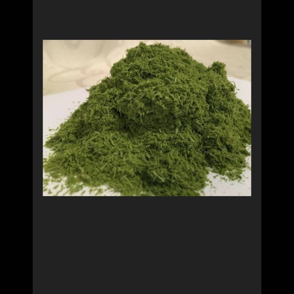 Pine Needle Powder Spruce Pine picea 70 Gramimmunity - Etsy