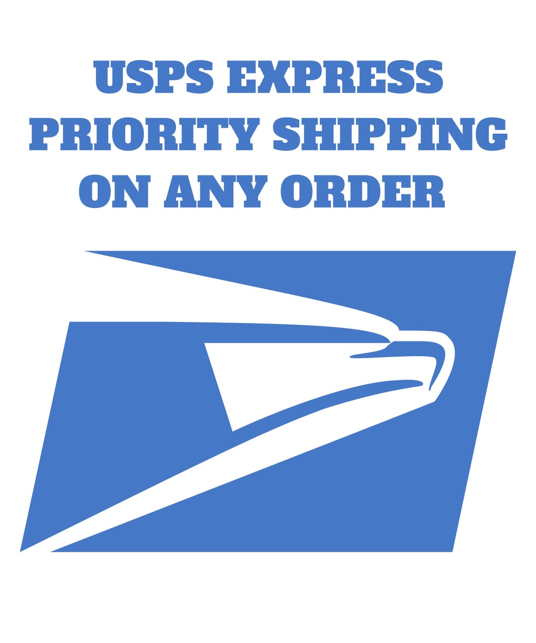 Express Shipping Option on Any Order - Etsy