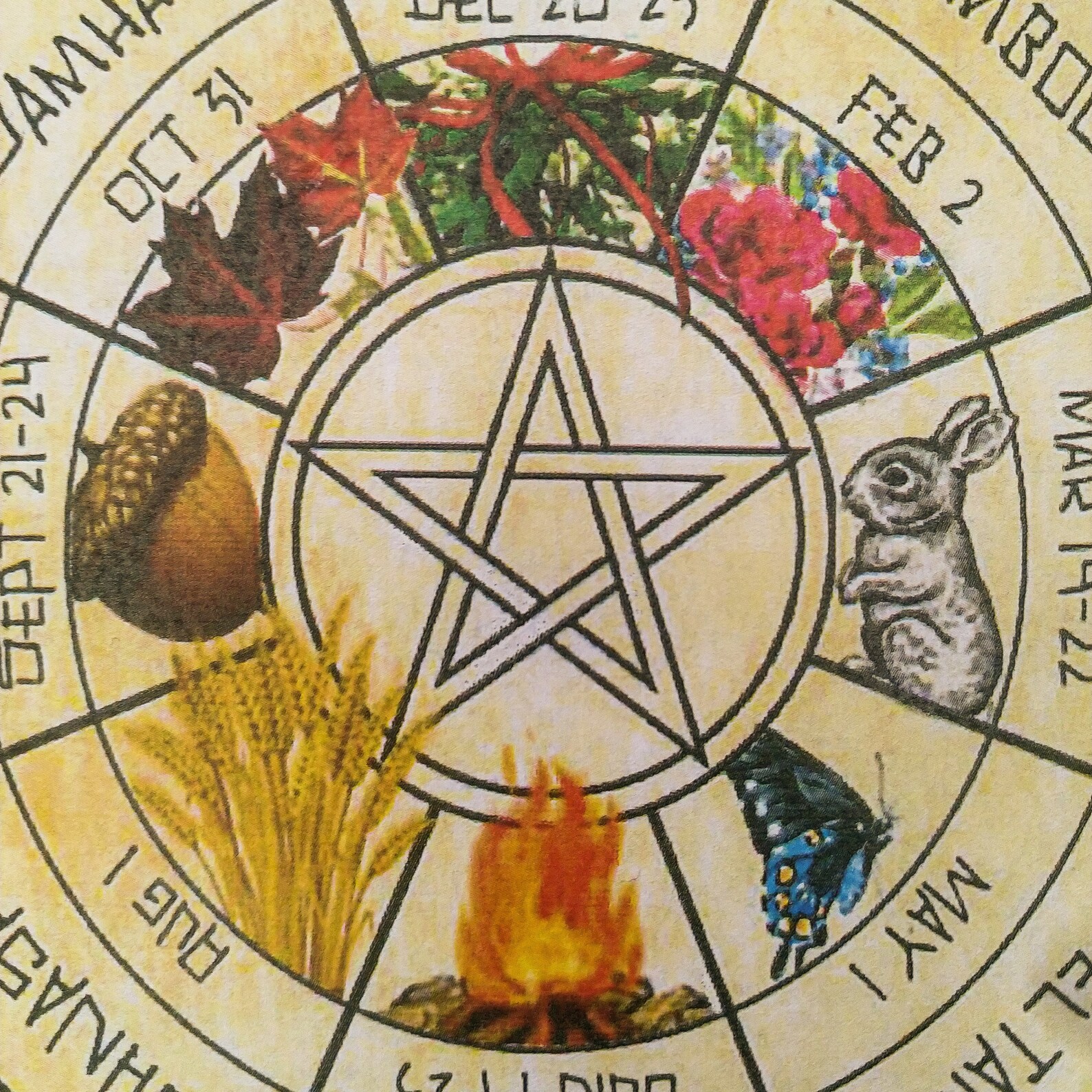 Witch Wheel of the Year Digital Grimoire Page Book of - Etsy