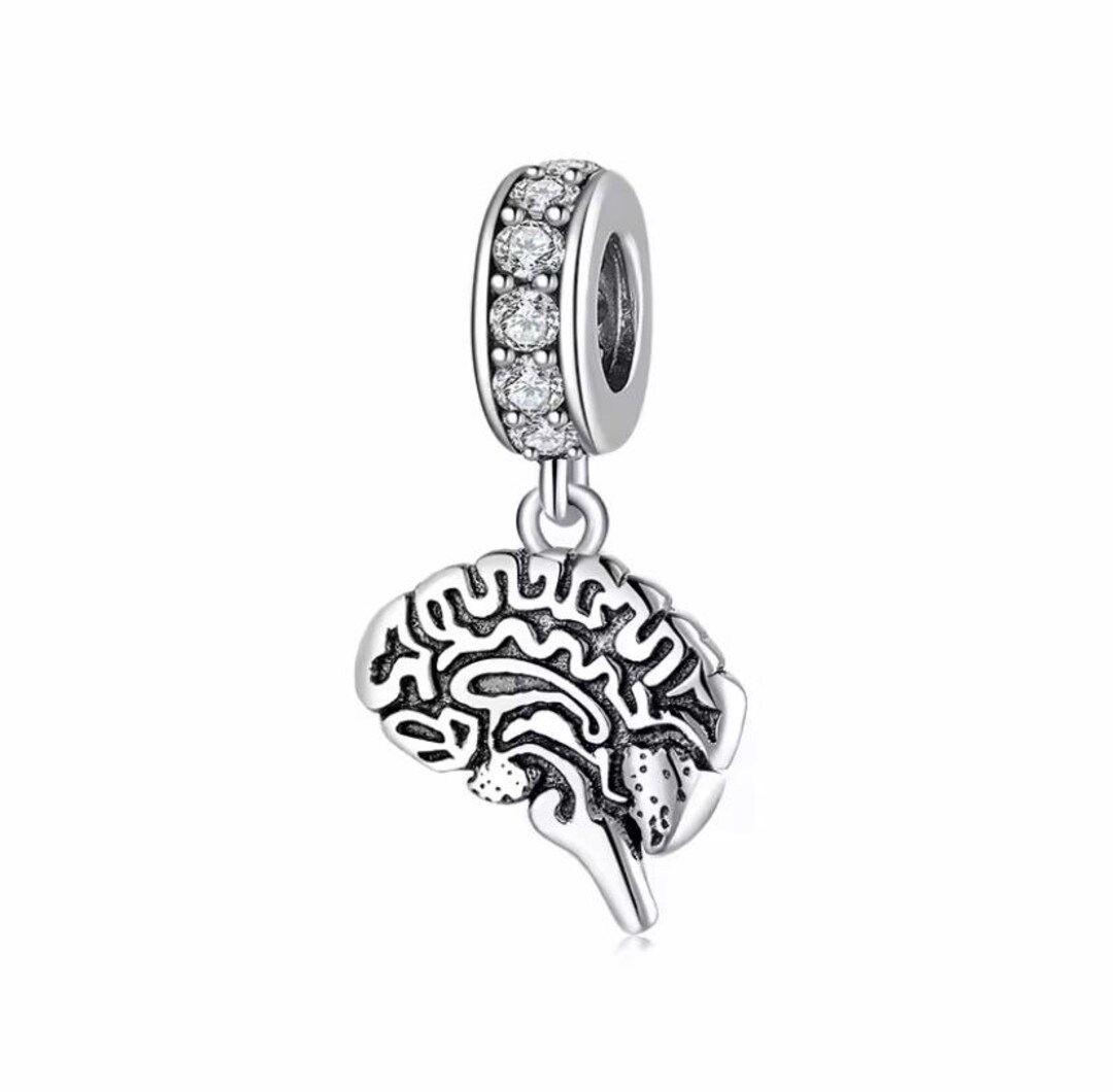 Doctor Nurse Organ Charm, Brain Organ Charm, 100% Real Sterling Silver ...