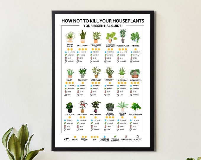 Houseplant Guide, Plant Care Guide, Beginner Plant Chart, Plant Care ...
