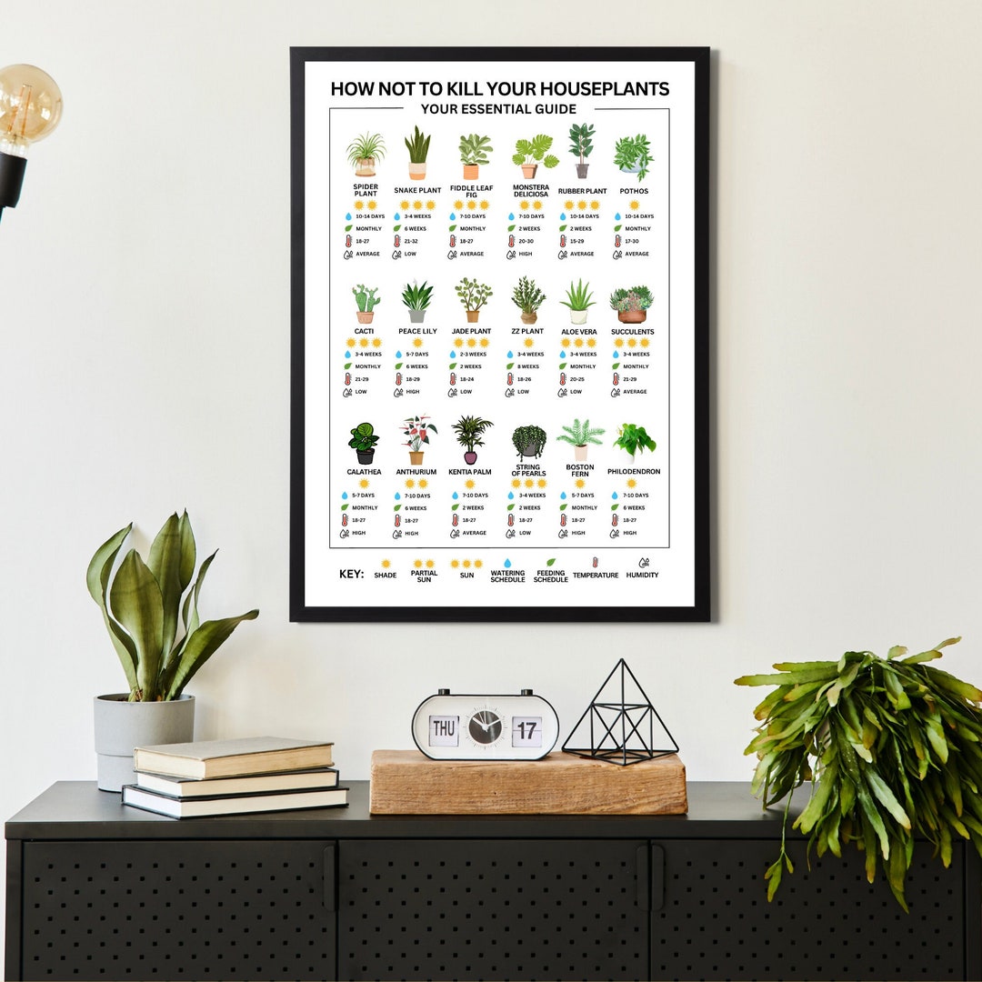 How Not to Kill Your Houseplants Poster - Houseplants Essential Care ...