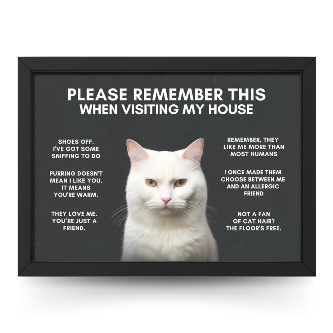 Funny White Cat House Rules Print: Cat Lover Gift - Etsy