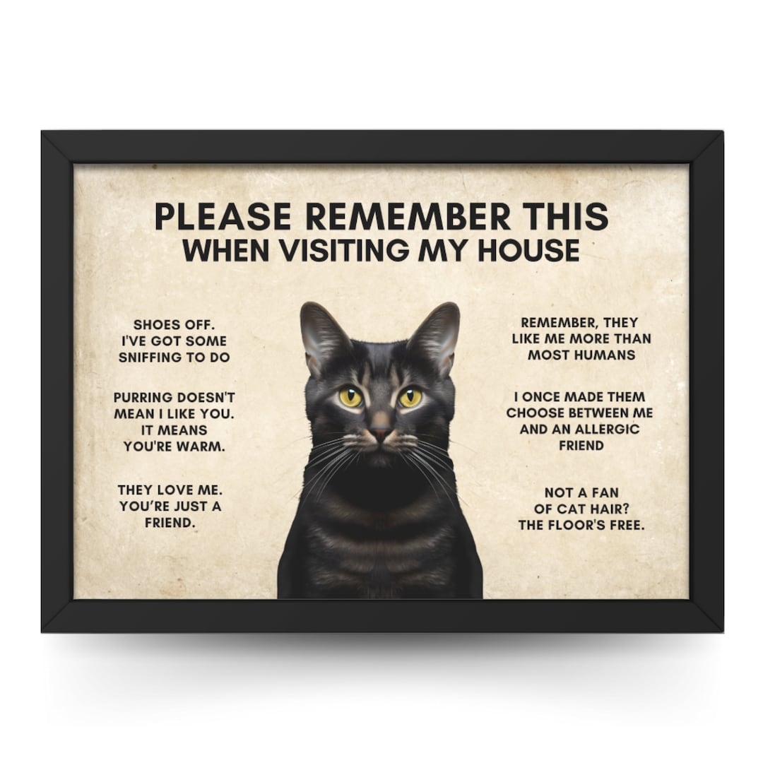 Funny Cat House Rules Wall Print - Cat Lover’s Hilarious Reminder for ...