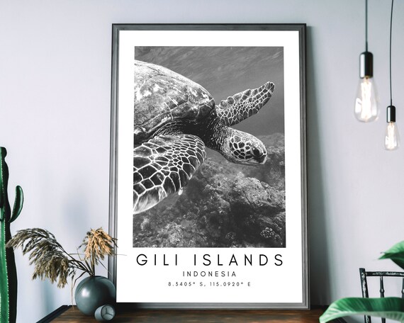 Gili Islands Wall Art Printable Island Printable Art Beach | Etsy