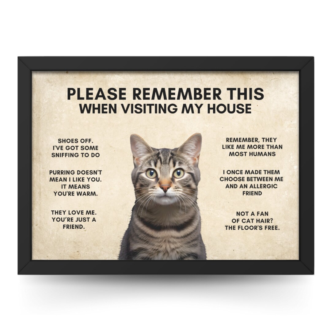 Funny Tabby Cat House Rules Print: Humorous Cat Lover Gift - Etsy