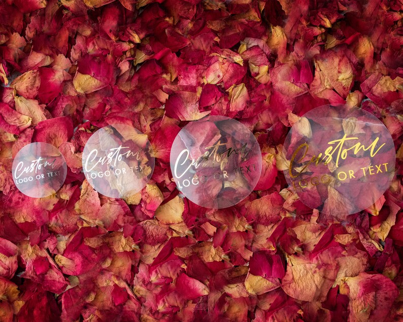 Custom See Through Labels Circular Transparent Labels Large - Etsy