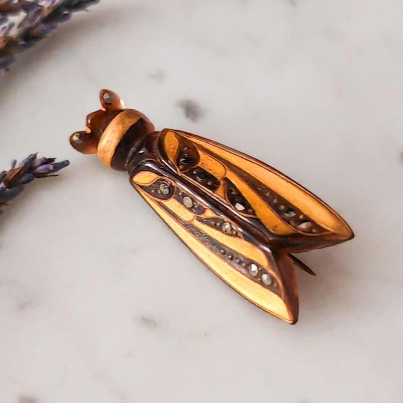 Cicada Brooch - Etsy