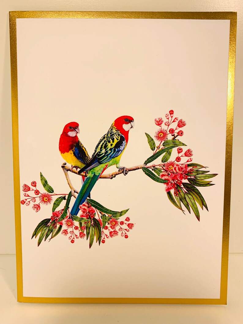 LUXURY GOLD Couple Eastern Rosella Parrot Australian Bird Origami Pop ...