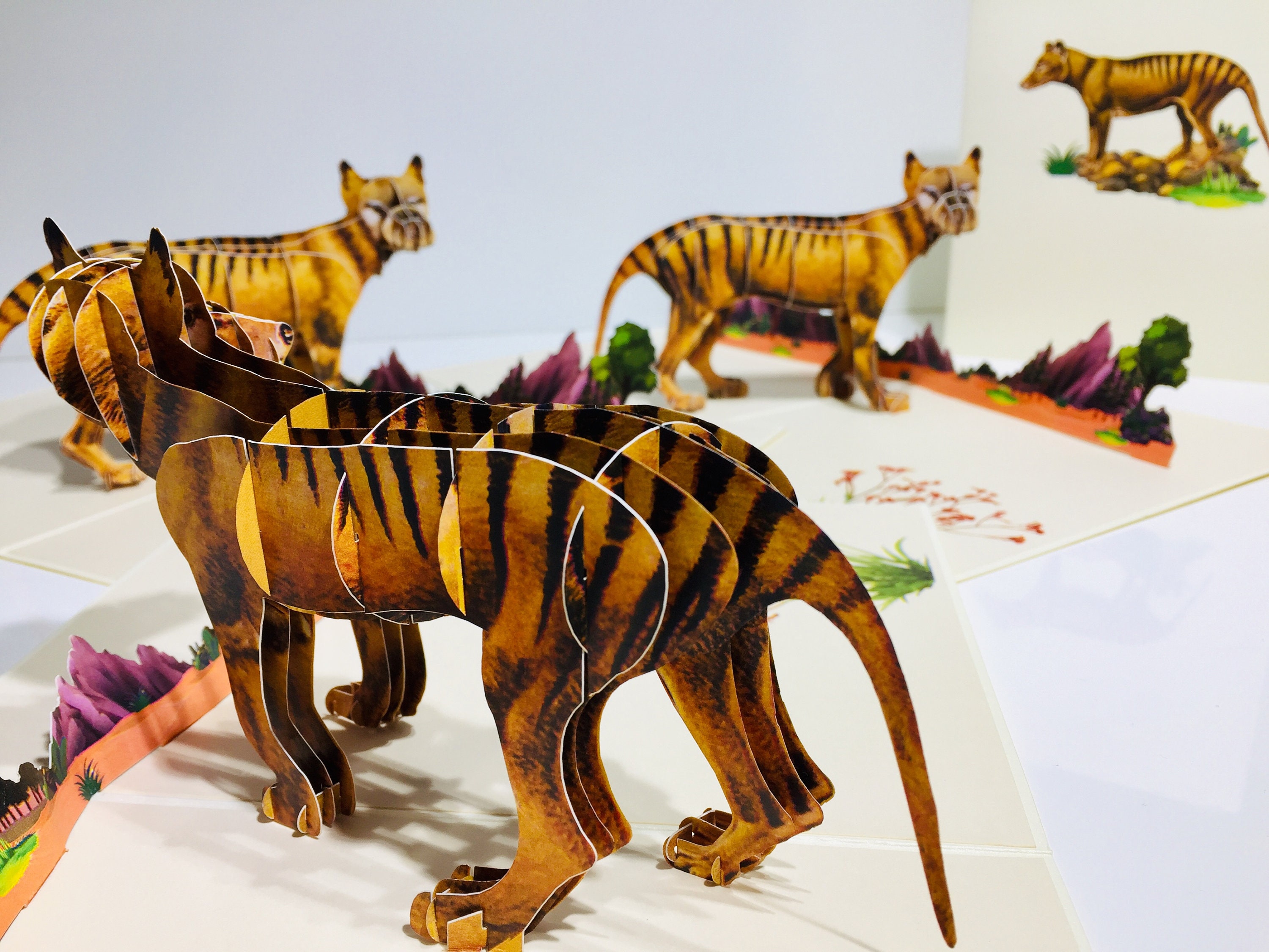 Tasmanian Tiger Aussie Wild Animal Card Created by Origami Pop Cards ...