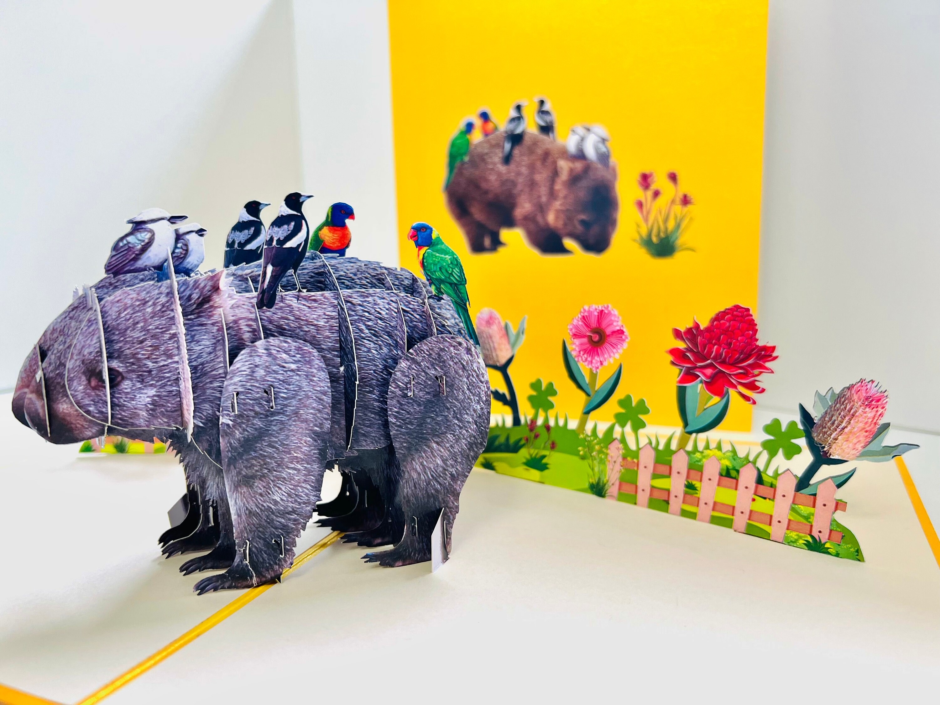 The Wombat One of Australia's Iconic Animals 3D Pop up Greeting Card ...