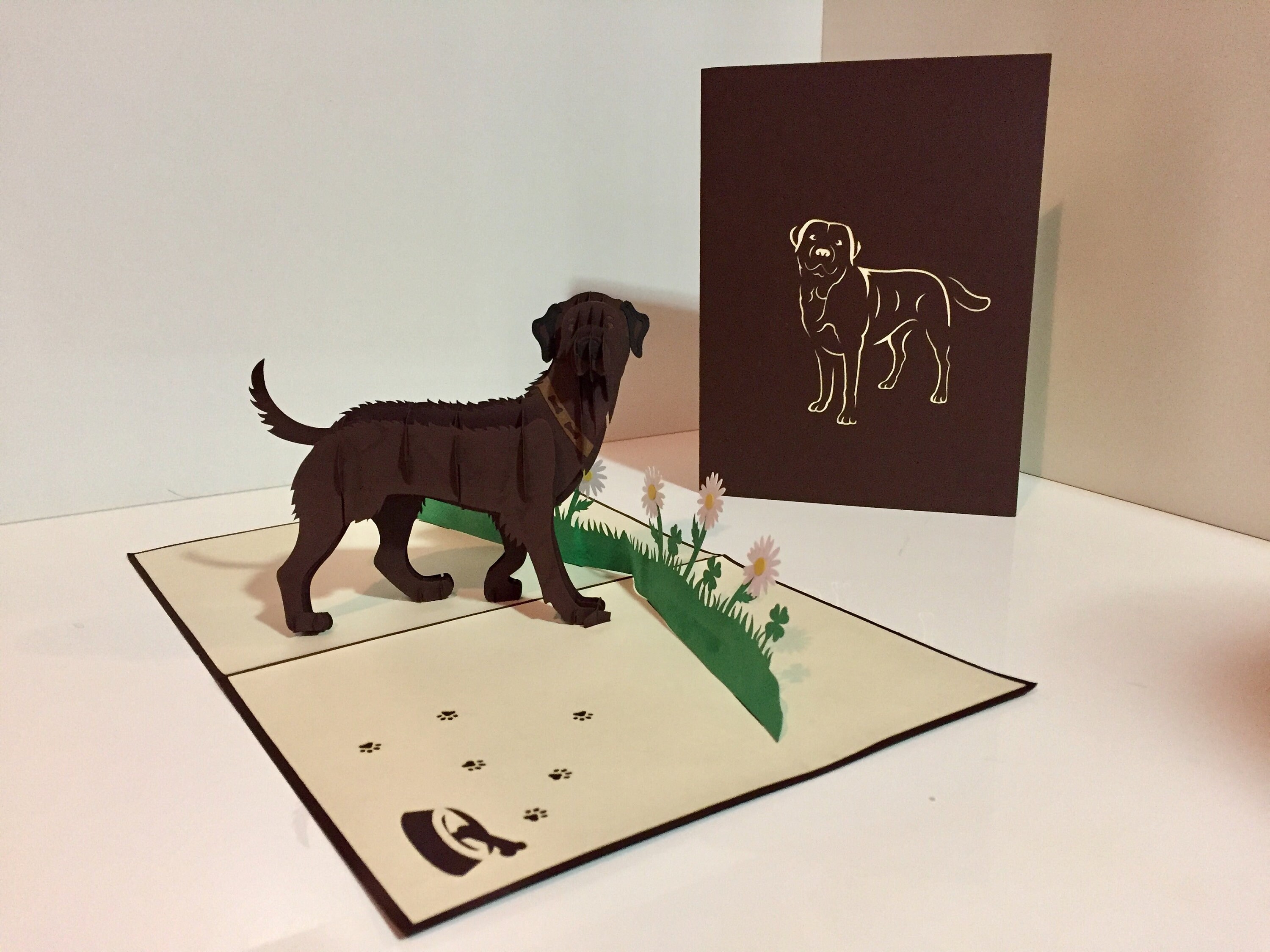 Chocolate Labrador Dog Card - Created by Origami Pop Cards Sydney ...