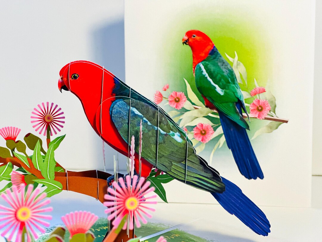 Single Australian King Parrot Bird Flowering Gumnuts - Origami Pop ...