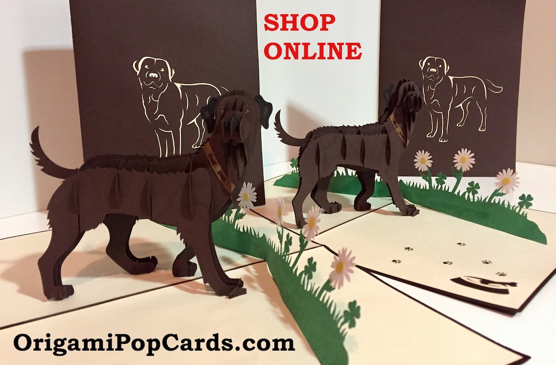 Chocolate Labrador Dog Card - Created by Origami Pop Cards Sydney ...
