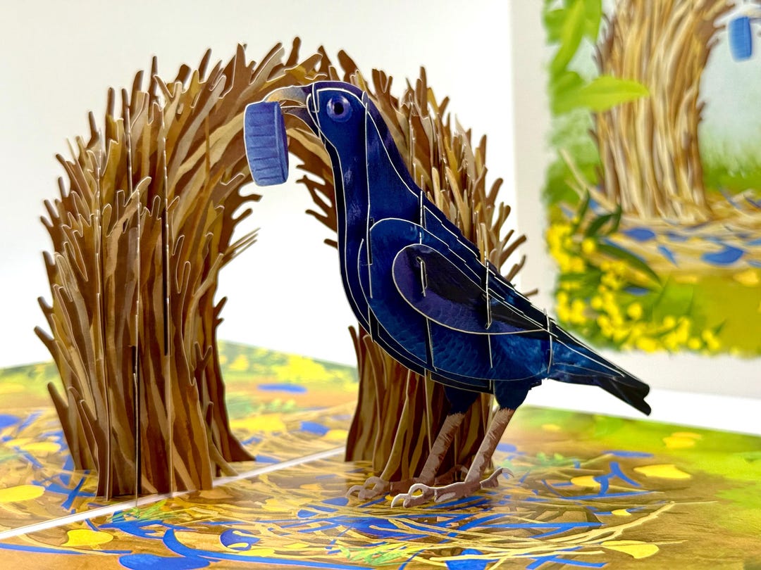 Satin Bowerbird - Australia's Unique Wildlife Handmade Origami Pop ...