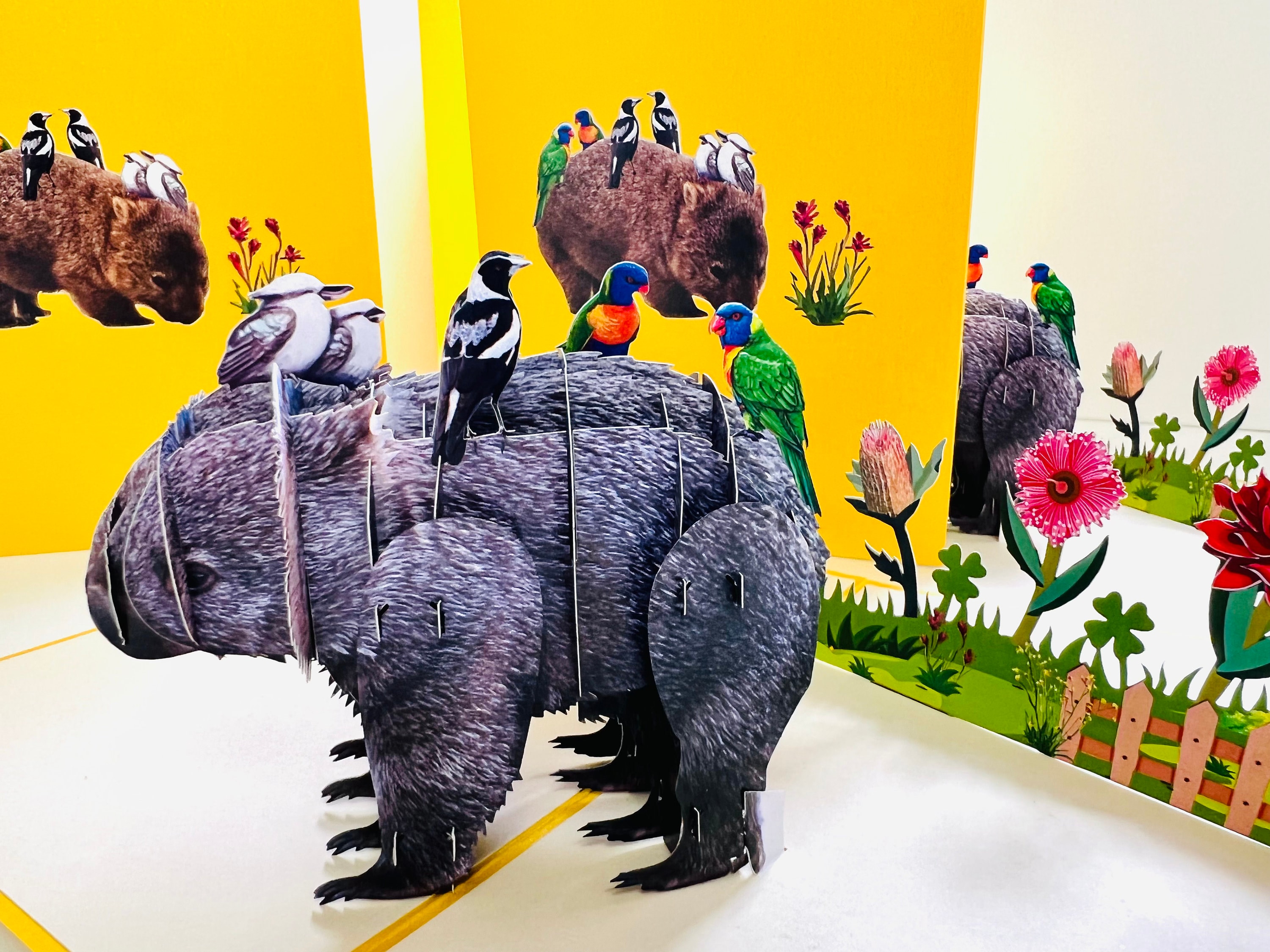 The Wombat One of Australia's Iconic Animals 3D Pop up Greeting Card ...