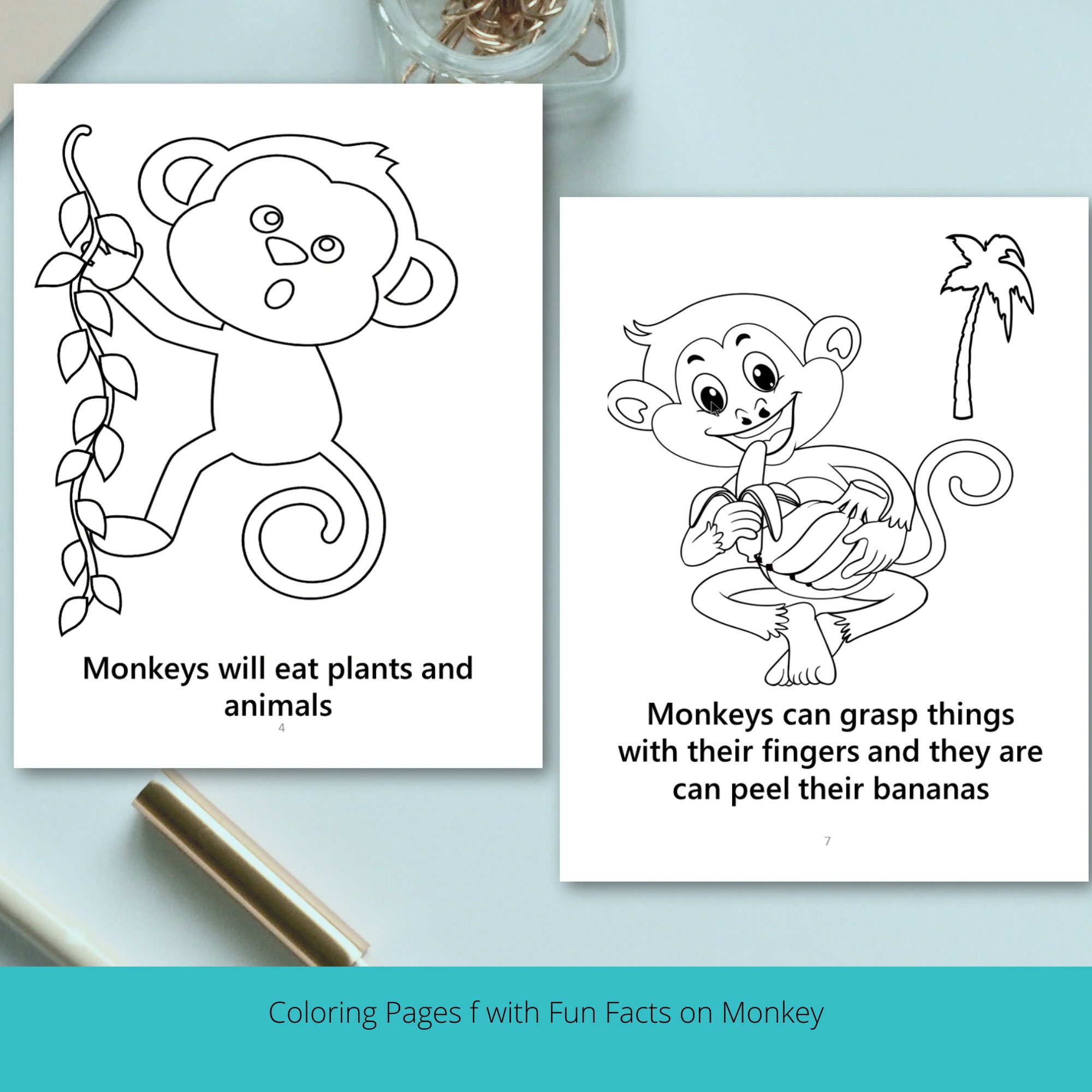 Monkey Activity Printable With Fun Facts for Kids Ages 4 6 : - Etsy ...
