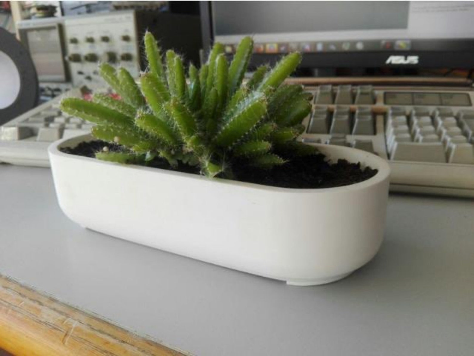 Desktop Planter - Etsy