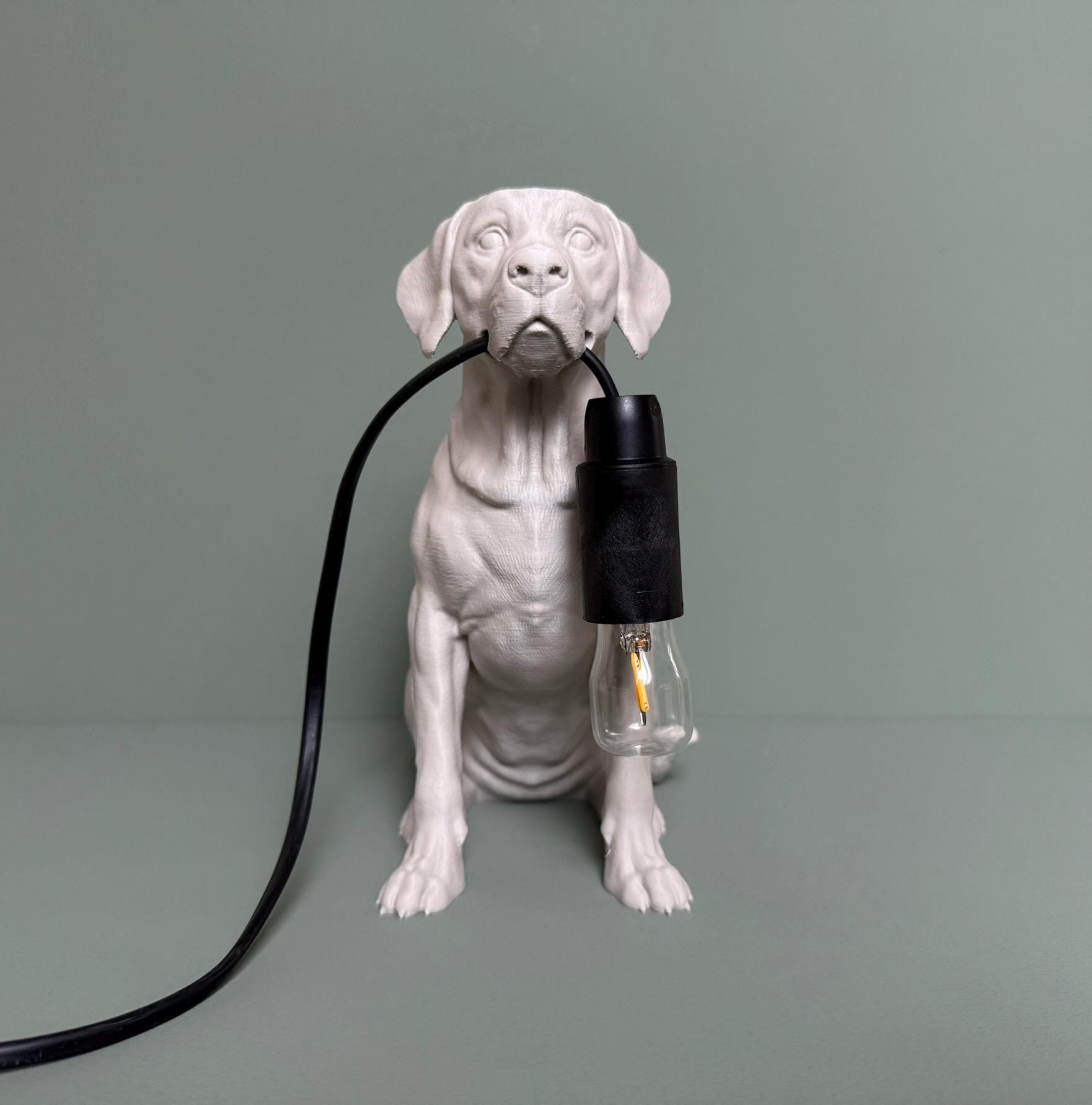 Labrador Table Lamp – Unique Dog Lamp With Mood Lighting – Perfect Gift ...