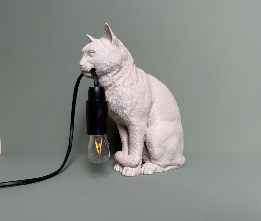 3D Cat Lamp in Mouth / Animal Lamp / Animals / Decoration / Design ...