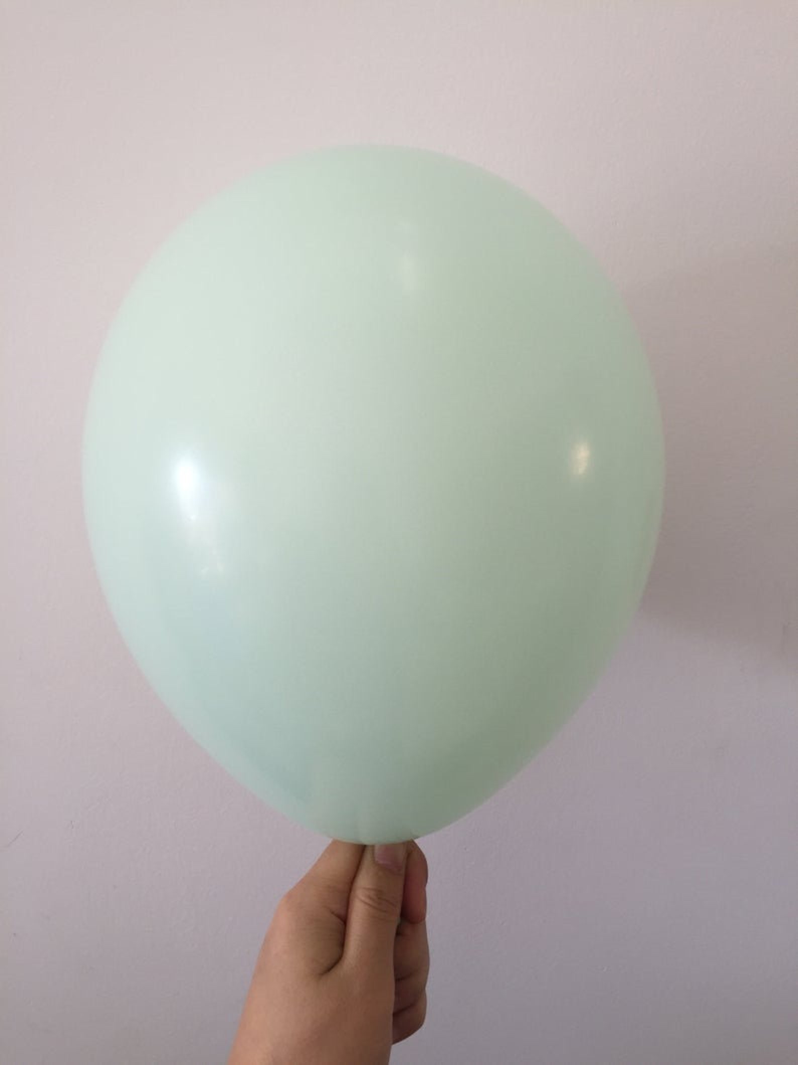 107pcs Jungle Party Balloons Garland Macaroon Mint White Metal | Etsy