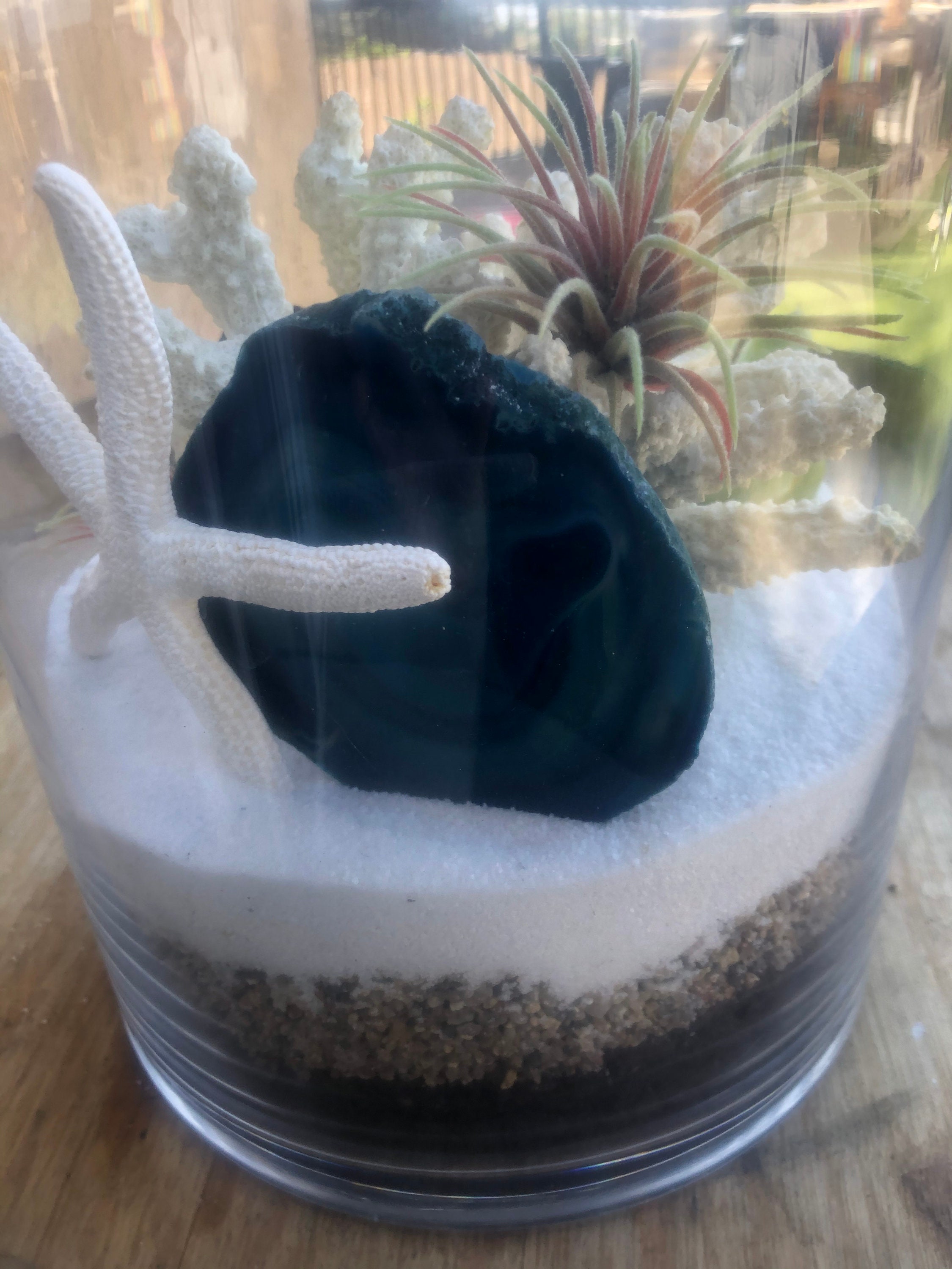 Glass Terrarium W/ Turquoise Agates, Air Plants, Succulents & Coral - Etsy
