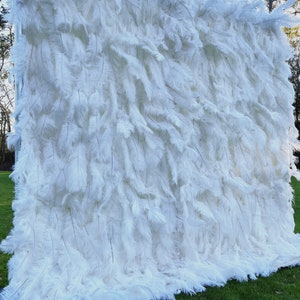 Ostrich Feather Flower Wall Backdrop: Fabric Cloth, Wedding Party Decor - Etsy