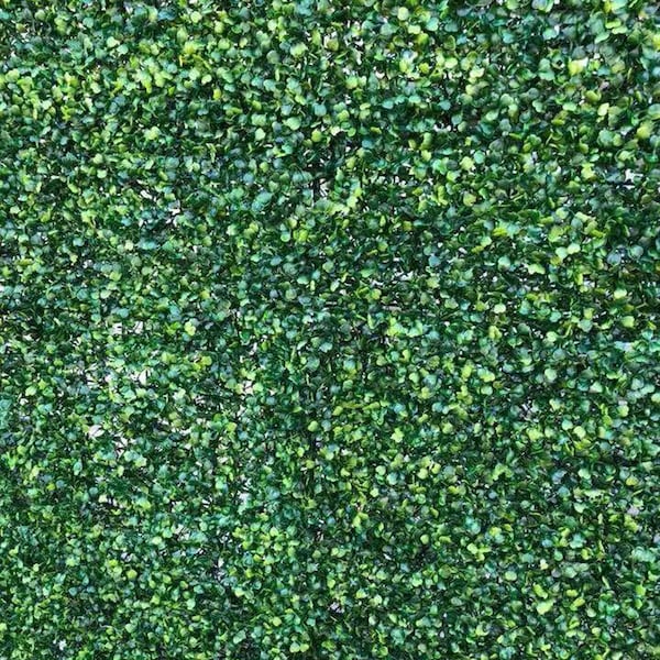 Greenery Backdrop - Etsy