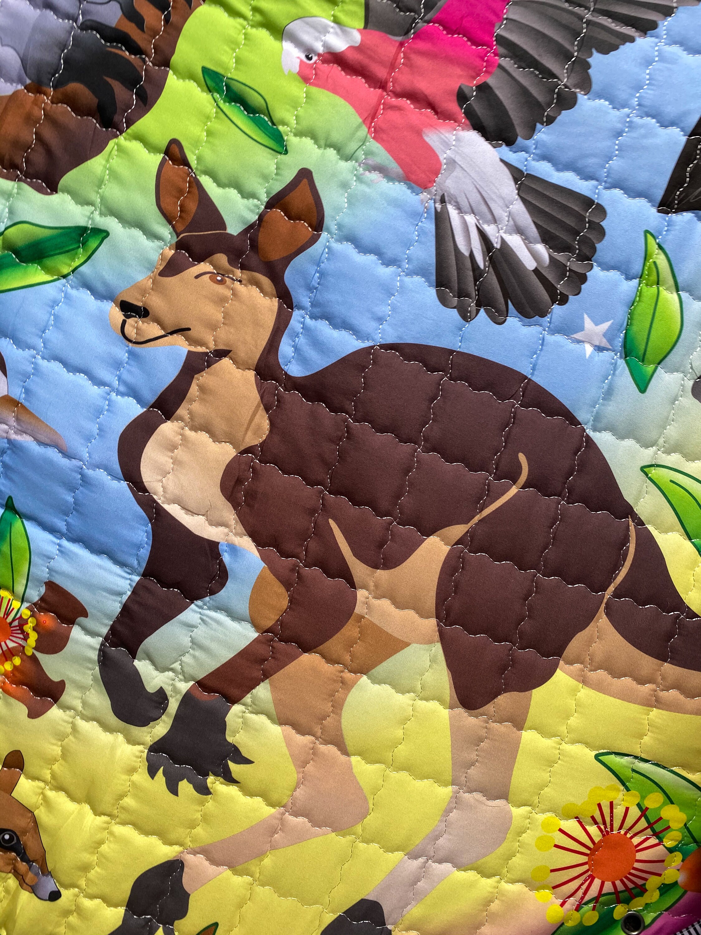 Australian Native Animals Tummy Time Play Mat - Multi-colour Pink to ...