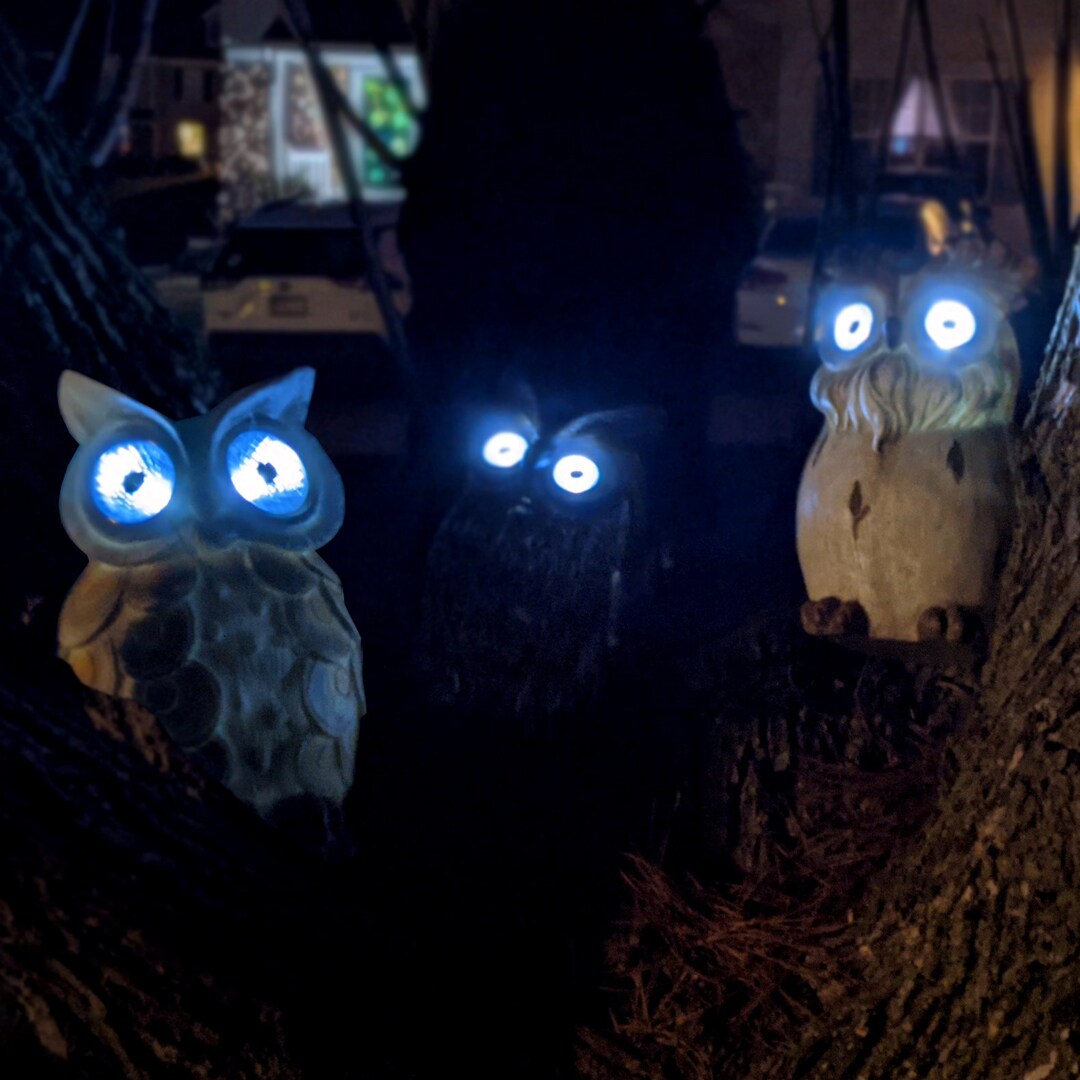 Set of 3 Assorted Owls With Light-up Solar Eyes - Etsy