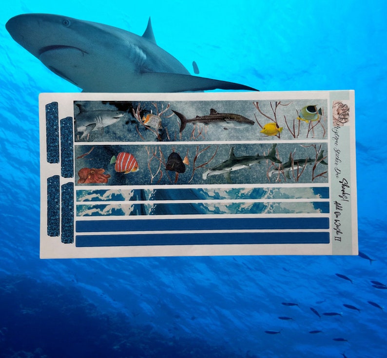 Sharks Weekly Planner Kit - Etsy