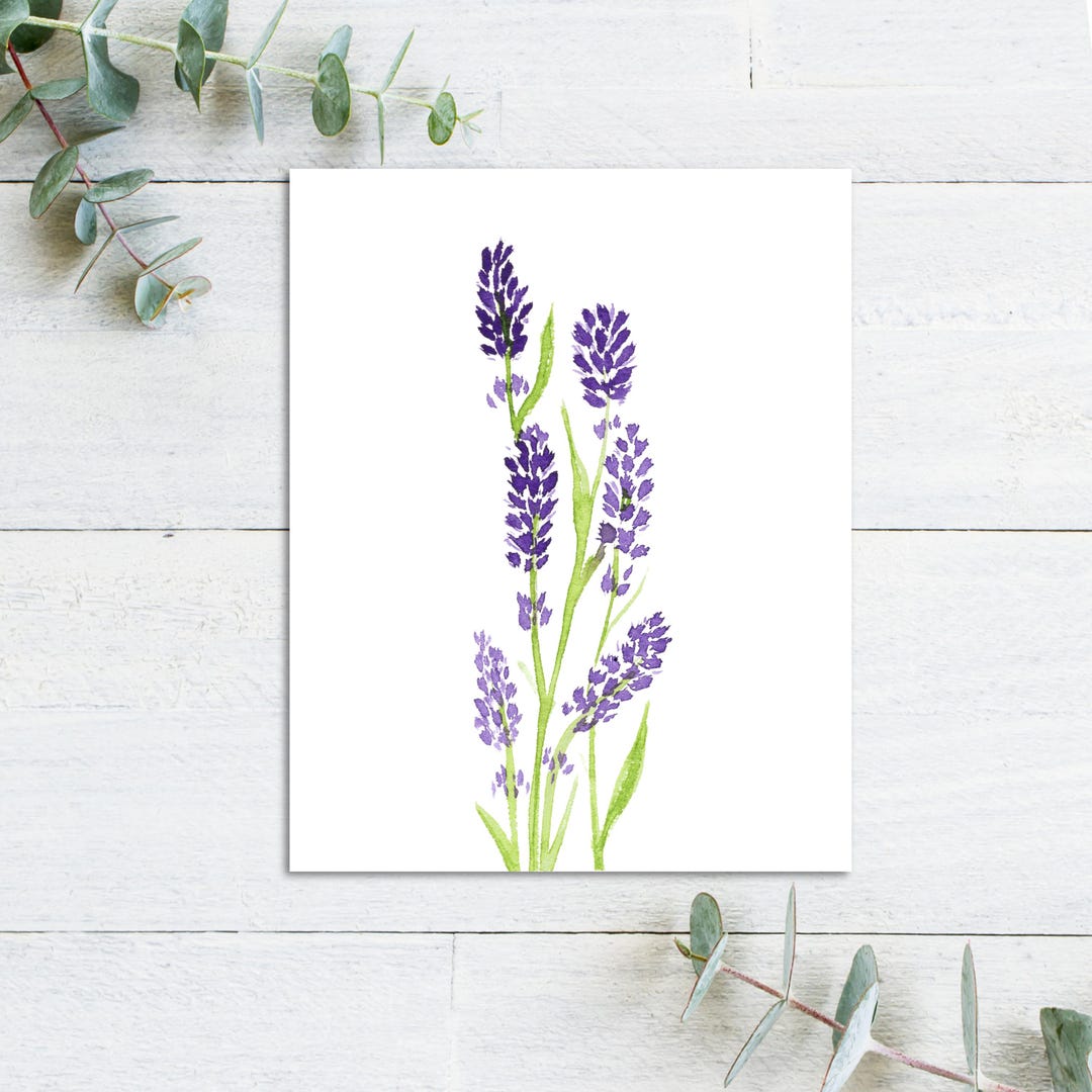 Lavender Print From Hand Painted Watercolor. Includes .25 White Margin ...