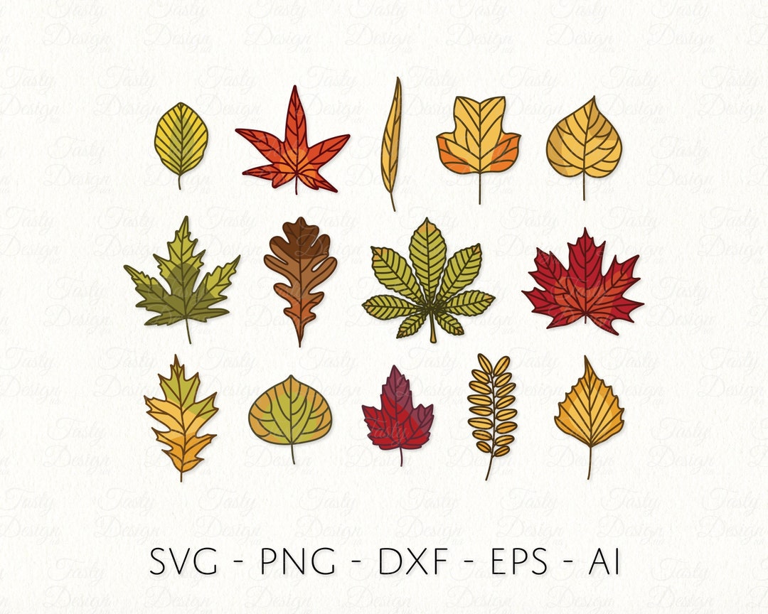 Fall Leaves SVG PNG DXF Sublimation Decal Cricut Layered File Autumn ...