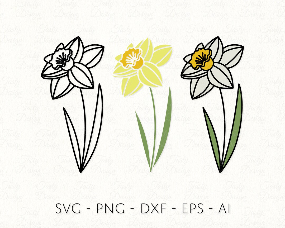 Daffodil SVG PNG DXF March Birth Flower Sublimation Decal Vector File ...